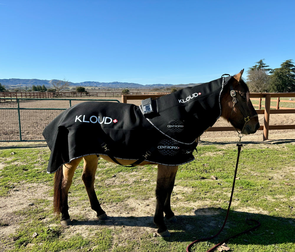 Centropix Kloud – Spirit Horse Collective