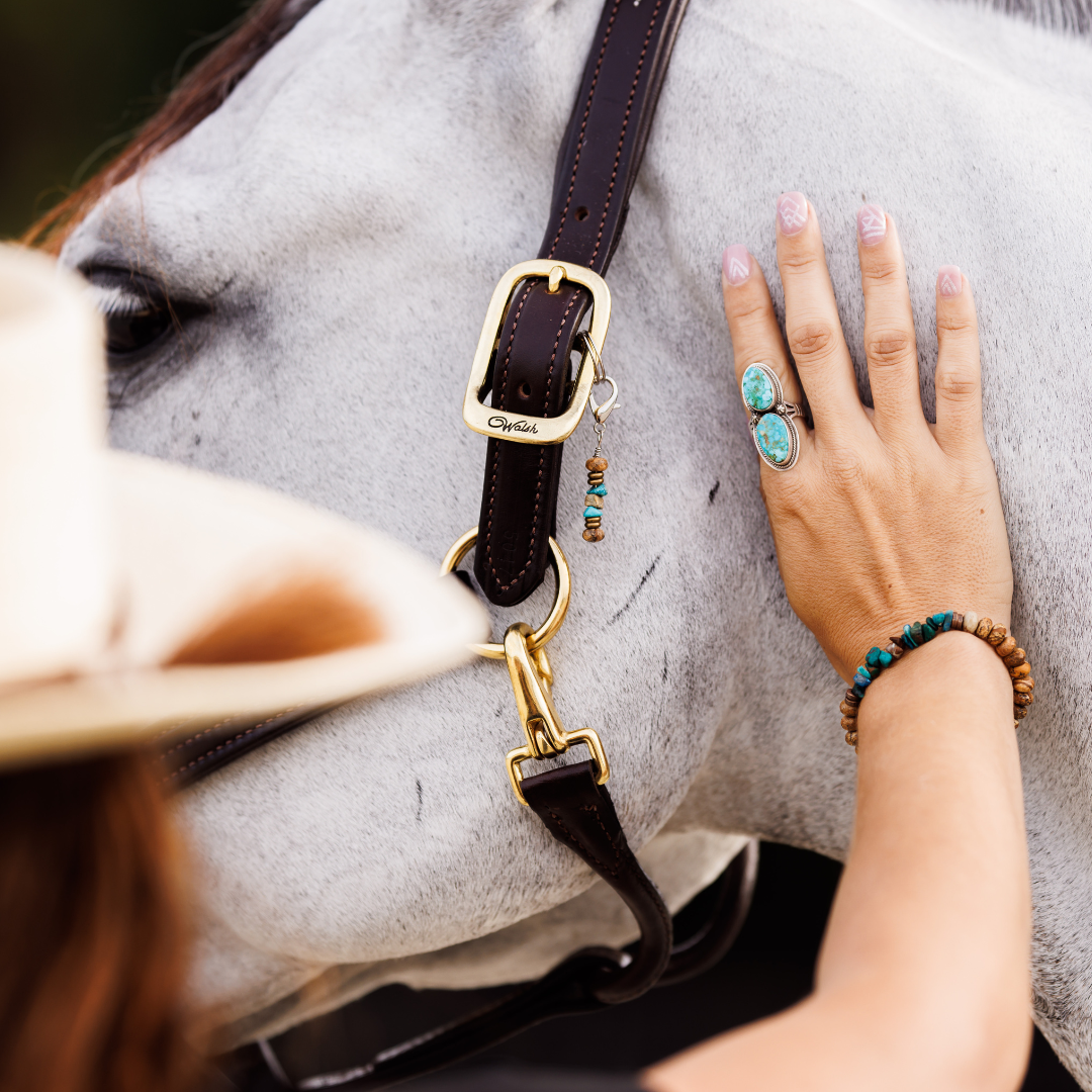 Equine Soul Connection Talisman Set – Spirit Horse Collective